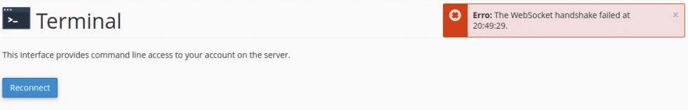 Terminal Web SSH cPanel