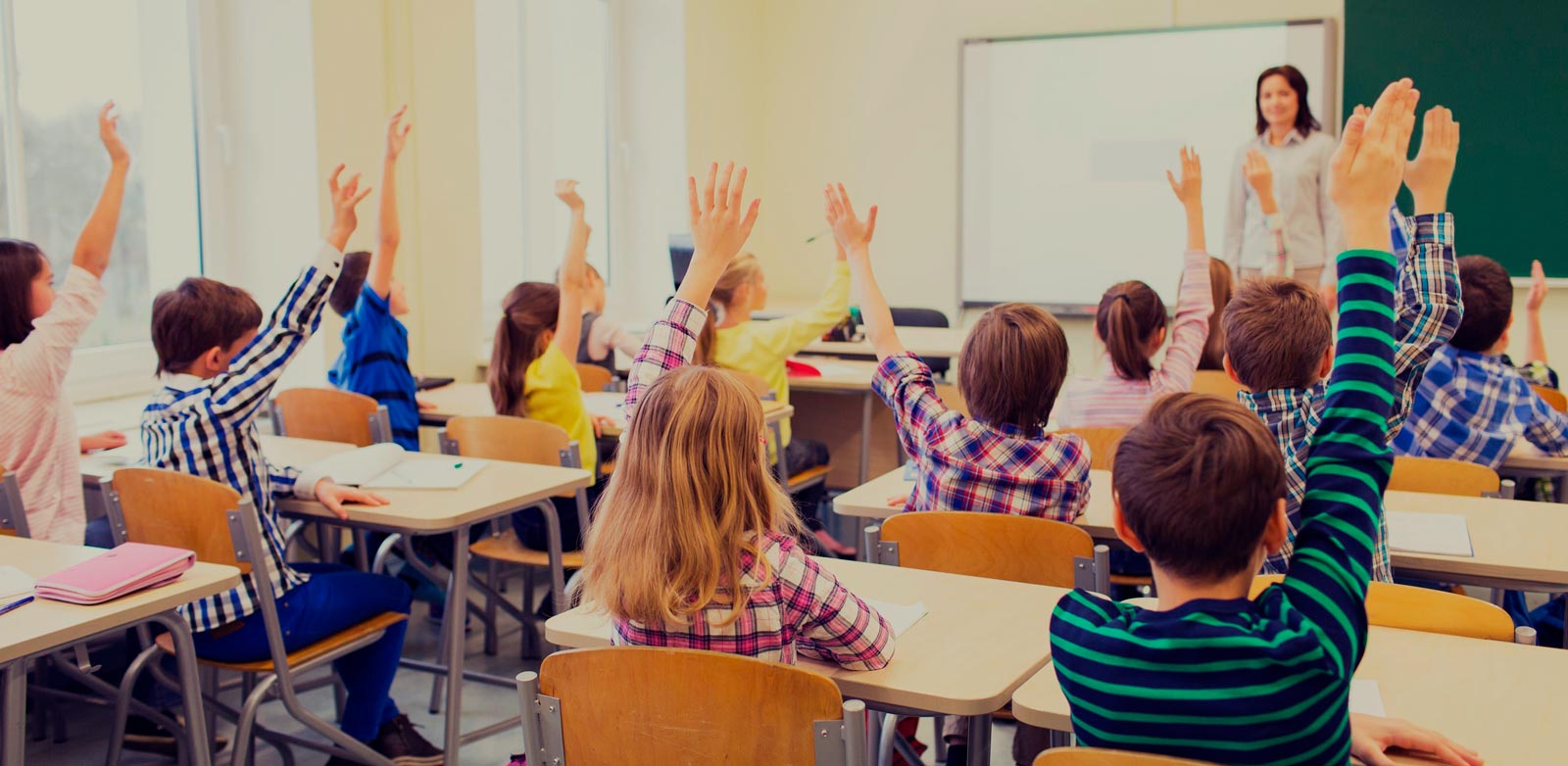Sistema de Cursos Online EAD | Curso online gratuito | Link Nacional